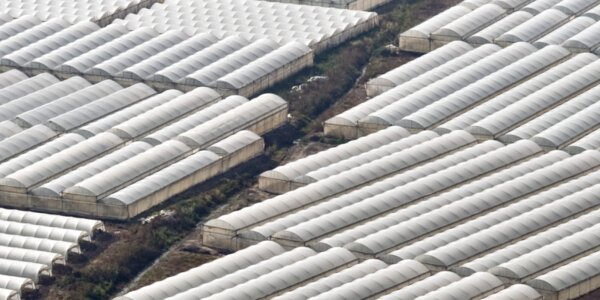 Temporary liquid greenhouse shading : Sombrasol